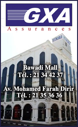 GXA Djibouti | Info-Militaire | Portail de l'info pour les militaires